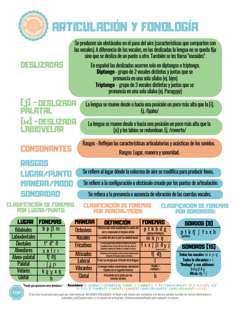 Fonemas y Procesos Fonológicos - @elrinconcitodelhabla | PDF | Vocal ...