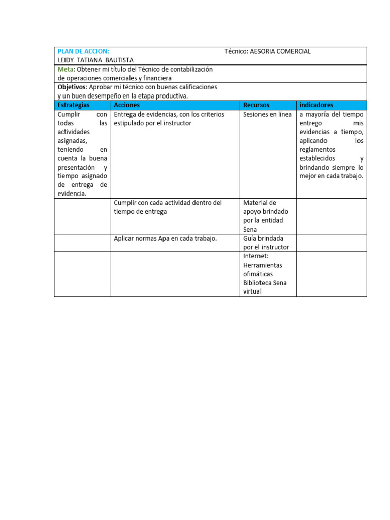 Plan de Accion | PDF