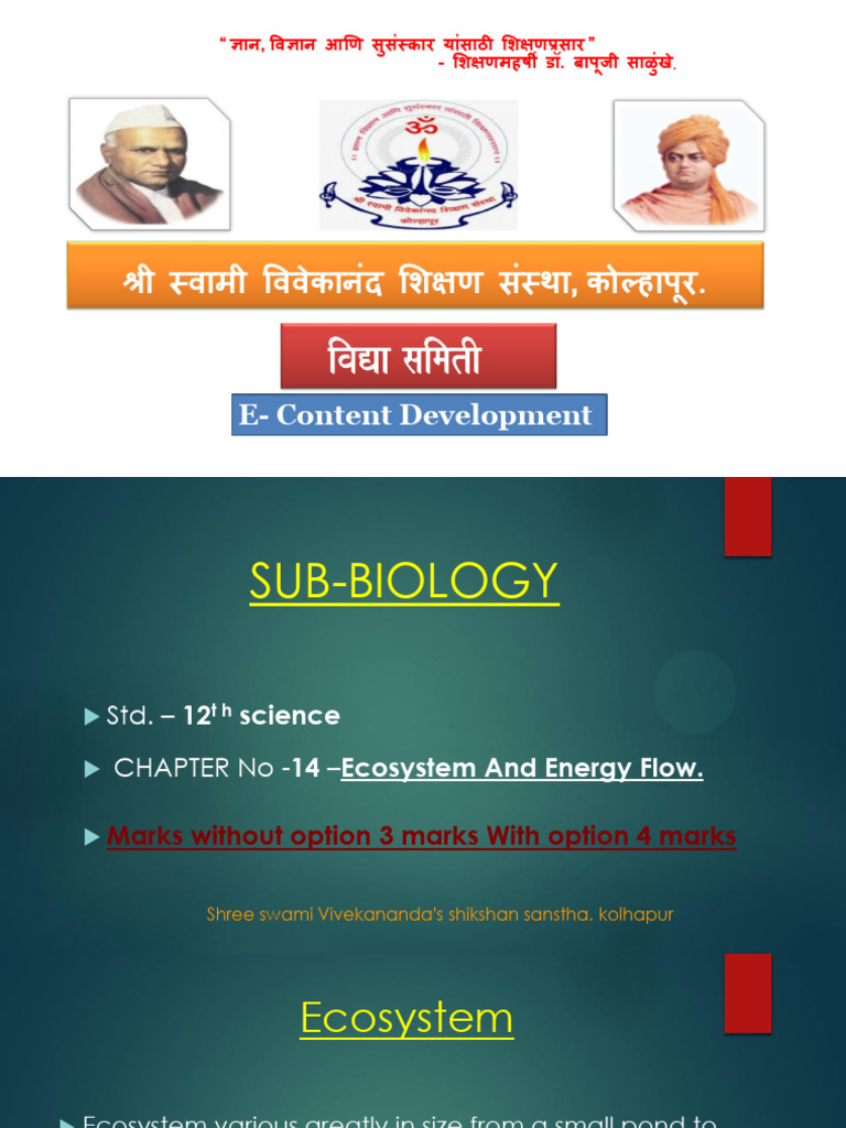Ecosystem and Energy Flow | PDF | Ecosystem | Food Web