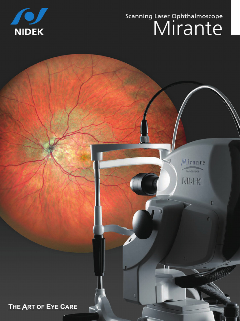 MiranteE_16P_7 | PDF | Rgb Color Model | Color