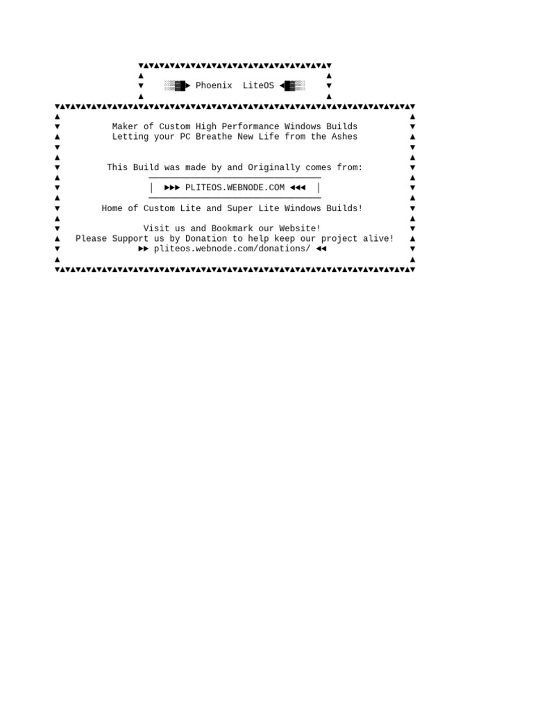 Phoenix LiteOS | PDF