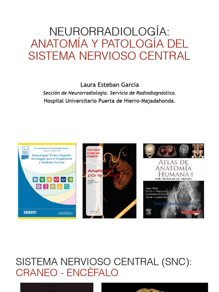 Clase 1. NeuroRX Anatomía copia PDF | PDF | Cráneo | La columna vertebral