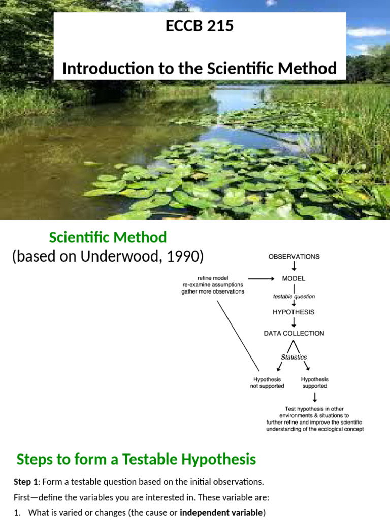 Intro To The Scientific Method Accessible | PDF | Falsifiability ...
