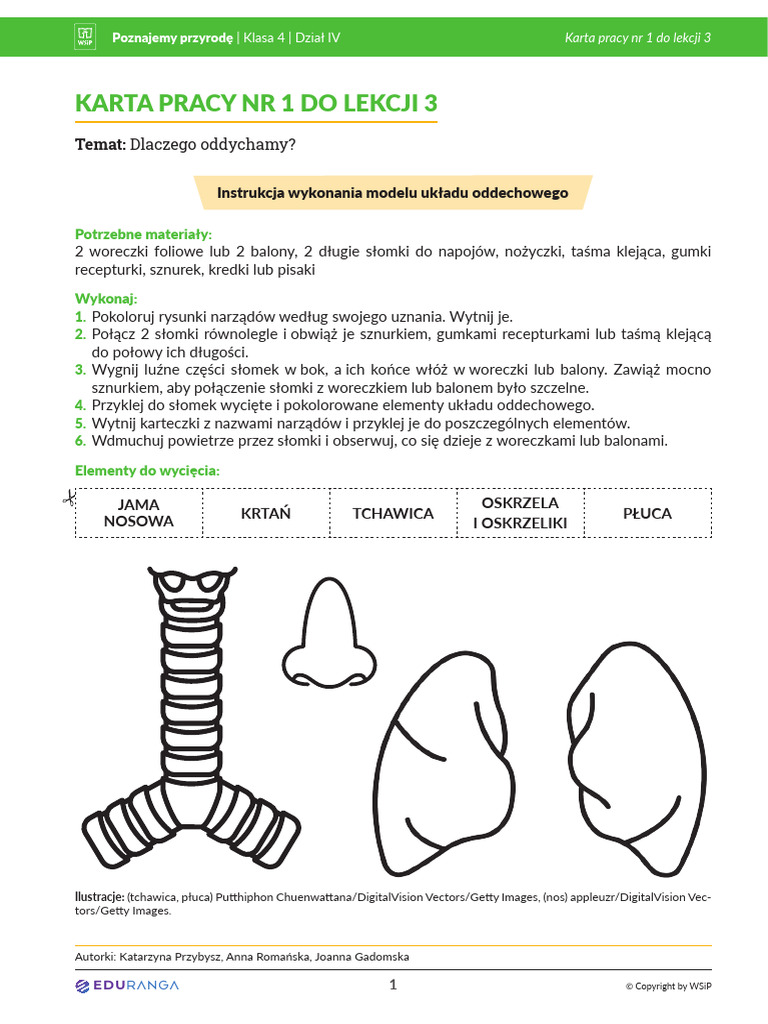Przyr SP Pozn Przyr KL 4 Karta Pracy 1 Do Lekcji IV.3 | PDF