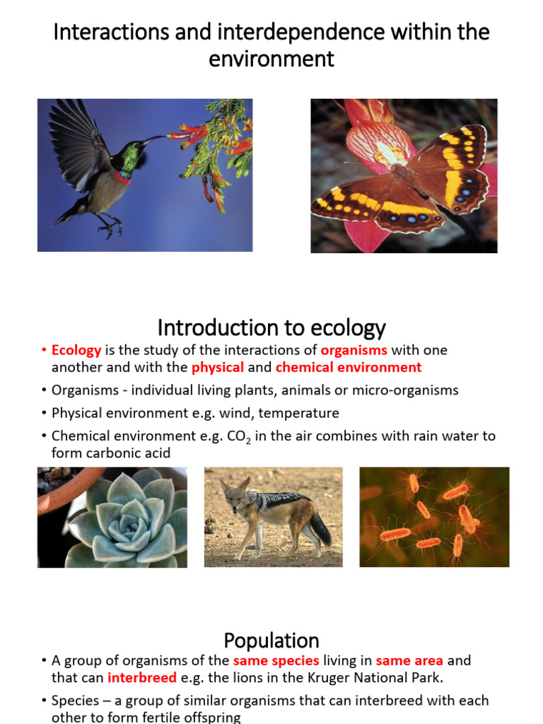 Introduction to Ecosystem Dynamics | PDF | Ecosystem | Soil