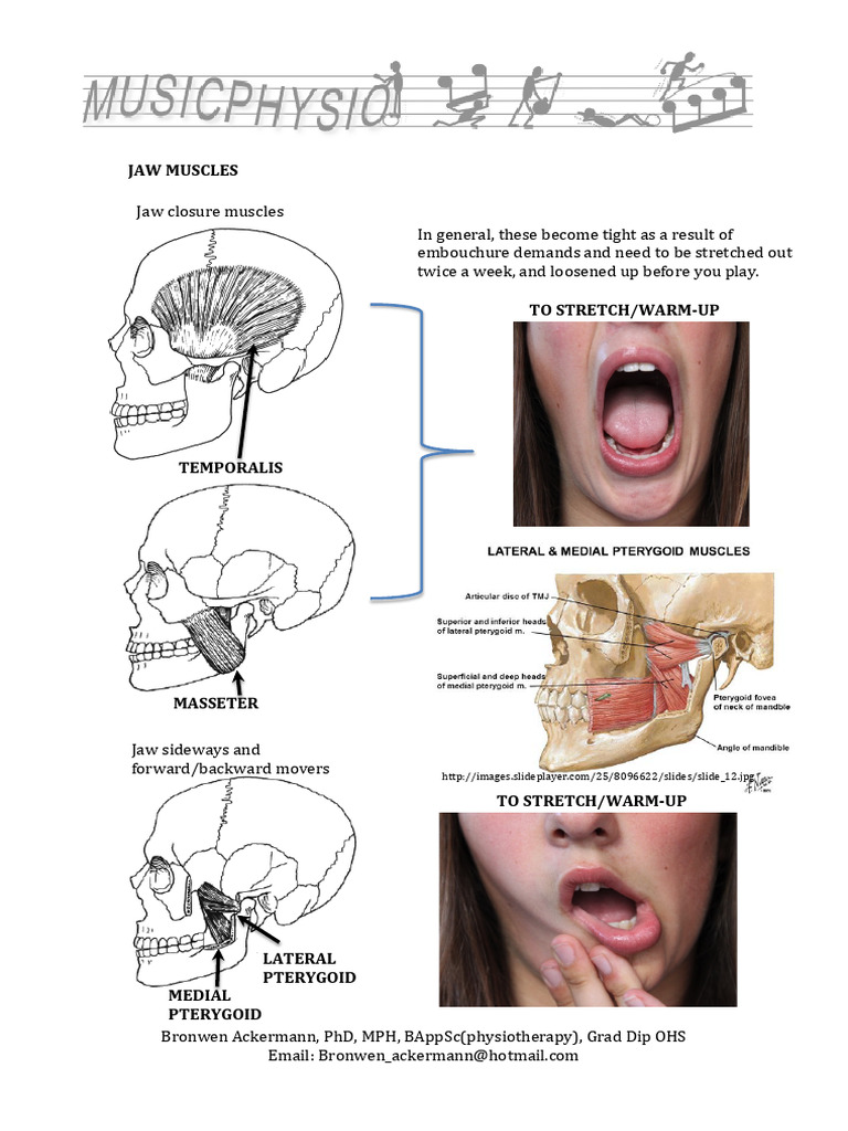 BronweAckemannmusicphysio Jaw Face Muscles2 | PDF | Lip | Primate Anatomy