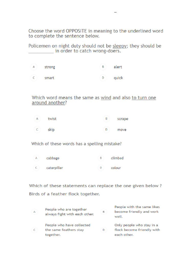 Grade V English IBT Practice Test | PDF