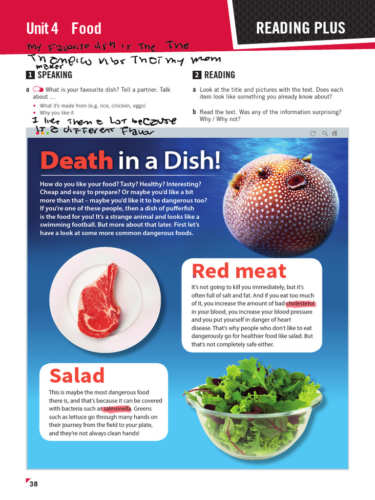 A2 Unit 4 Reading Plus Lesson | PDF