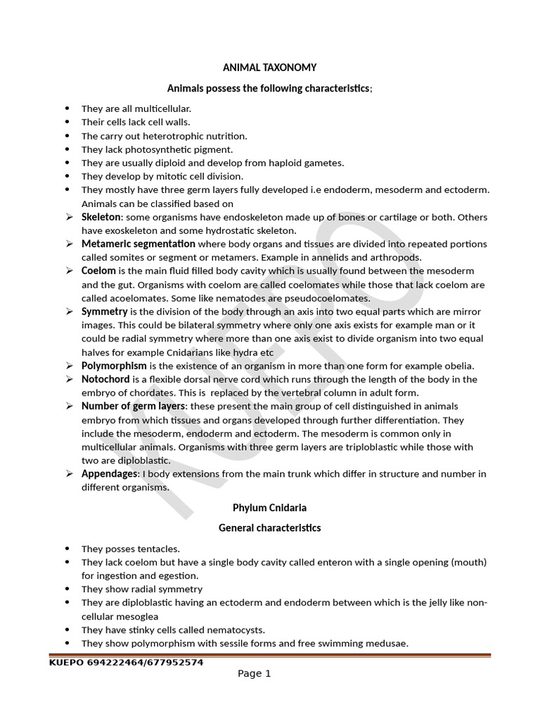 Animal Taxonomy | PDF | Mollusca | Octopus