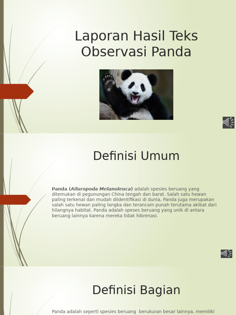 Laporan Hasil Teks Observasi Panda | PDF