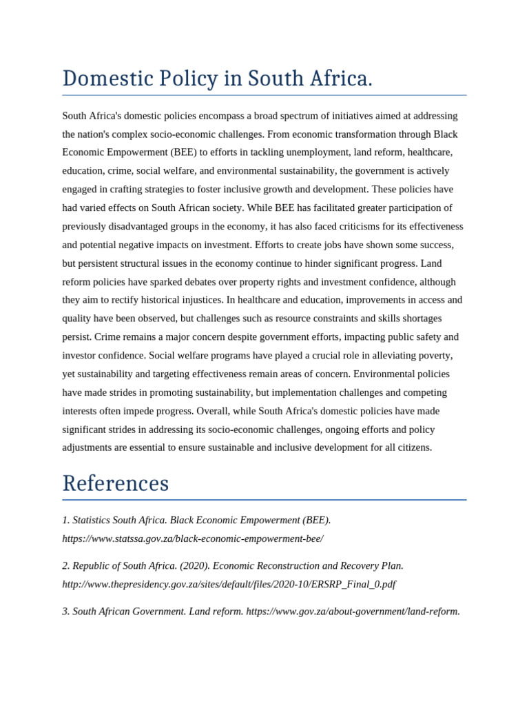 South Africa's Domestic Policy Overview | PDF