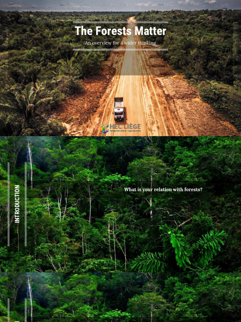 EGSG - The Mater of Forests | PDF | Forests | Deforestation