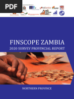 Finscope Report 2023 - TZ | PDF | Financial Inclusion | Tanzania