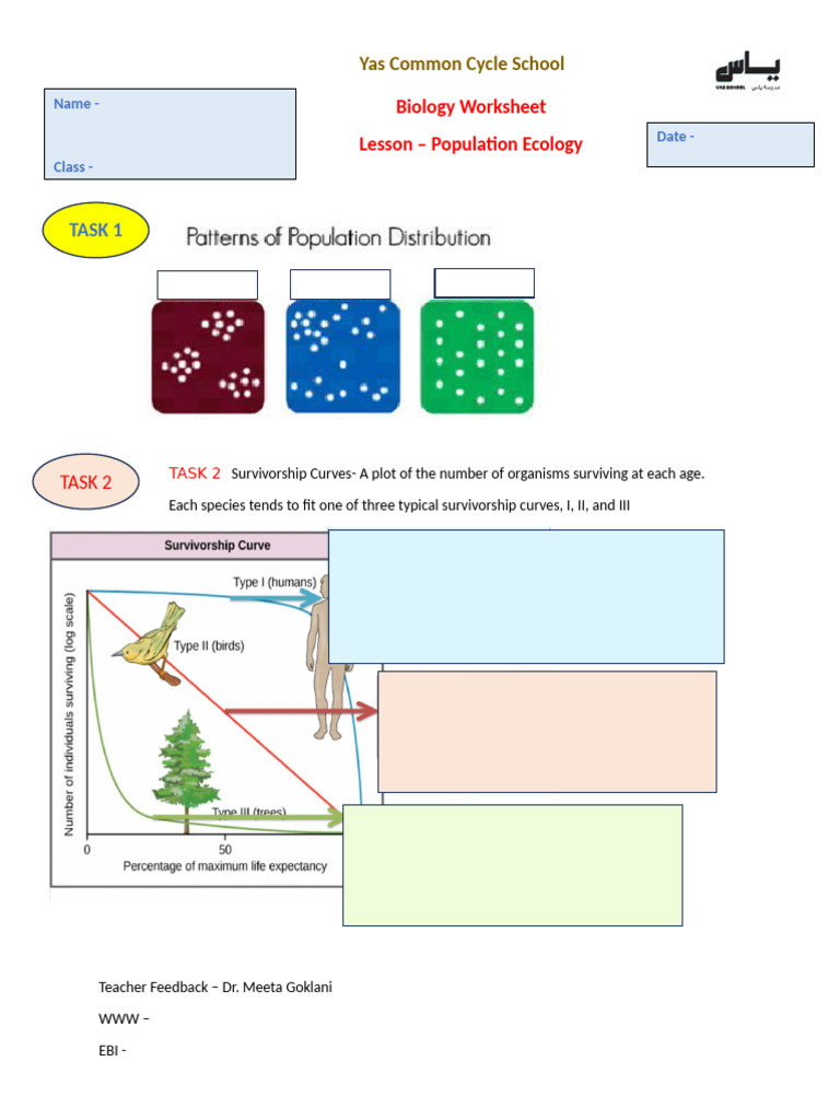 Activity - Survivorship curve | PDF