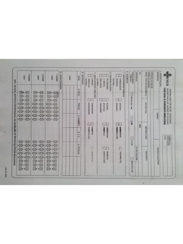 Ficha Geral de Atendimento Amb | PDF