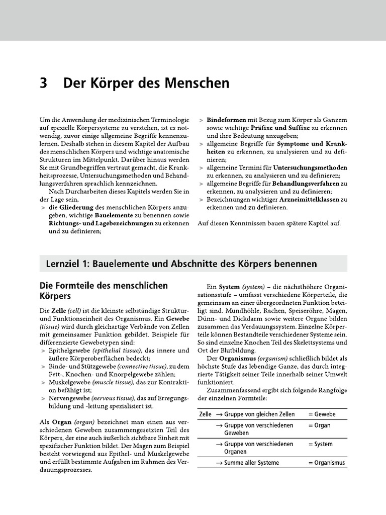 Der Körper Des Menschen | PDF