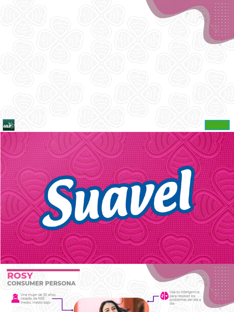 Perfil de Consumo de Rosy | PDF