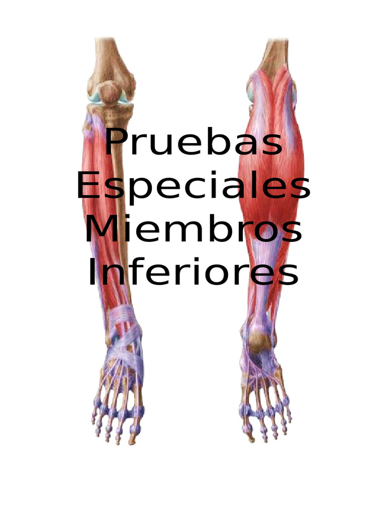 Librillo Miembros Inferiores-1 | PDF | Rodilla | Tobillo