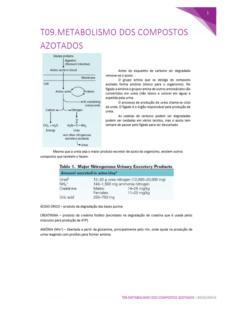t09 Metabolismo Compostos Azotados | PDF | Metabolismo | Aminoácido