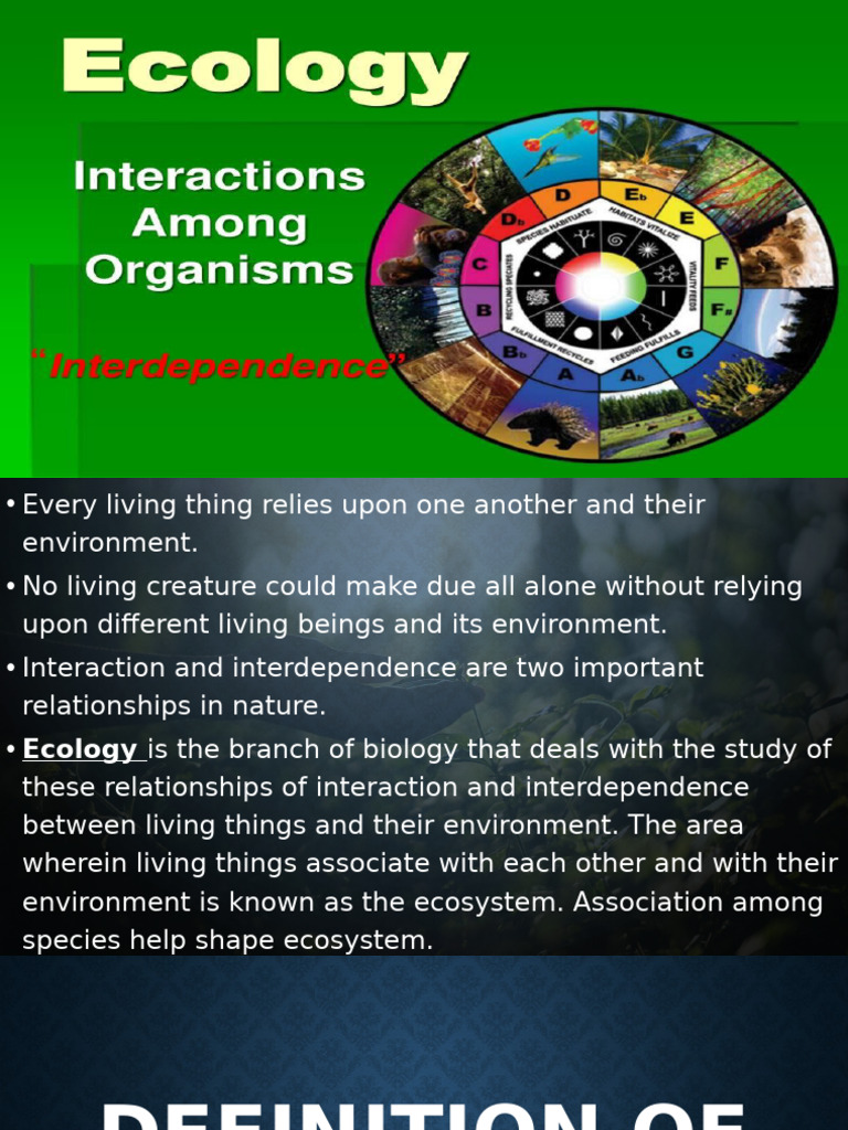 Interaction & Interdependence | PDF | Ecosystem | Ecology