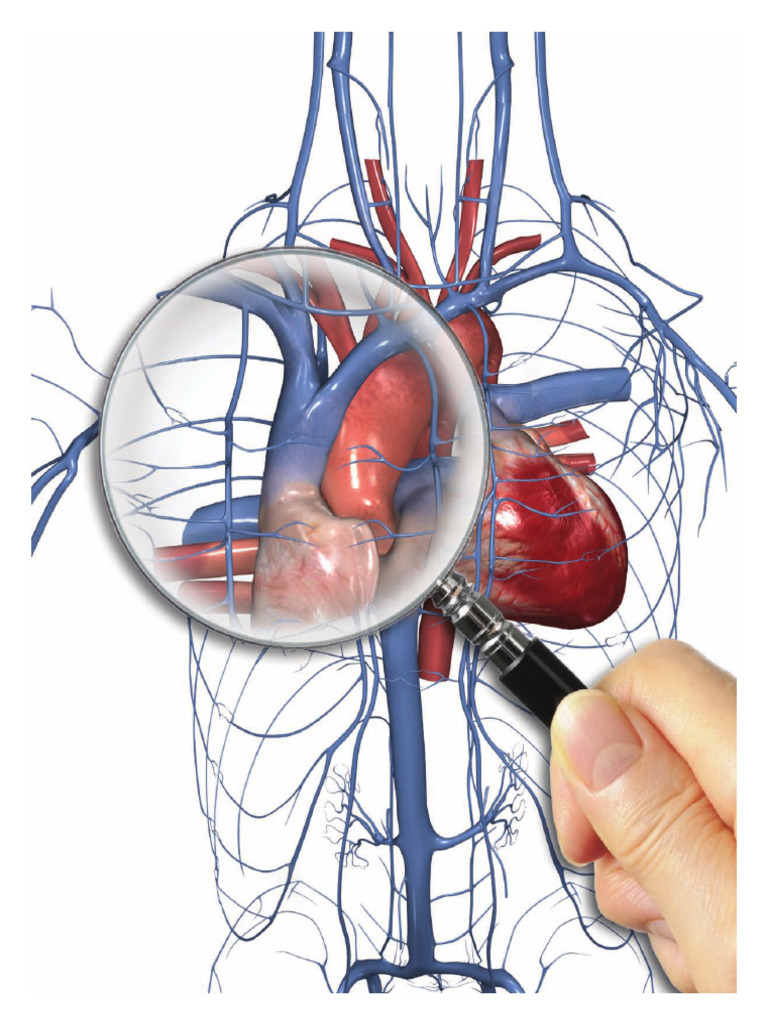 CVP Monitoring | PDF | Vein | Heart