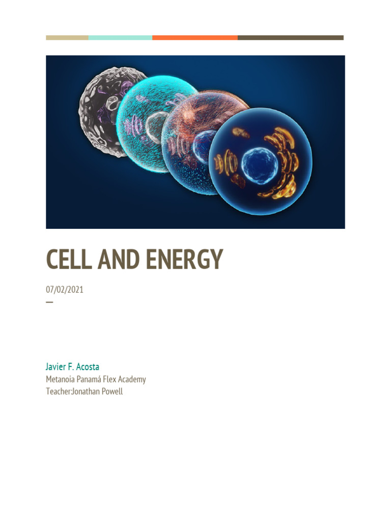 Cell Energy and Nutrient Functions | PDF