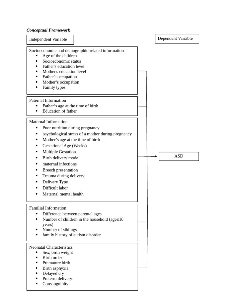 Conceptual Framework | PDF