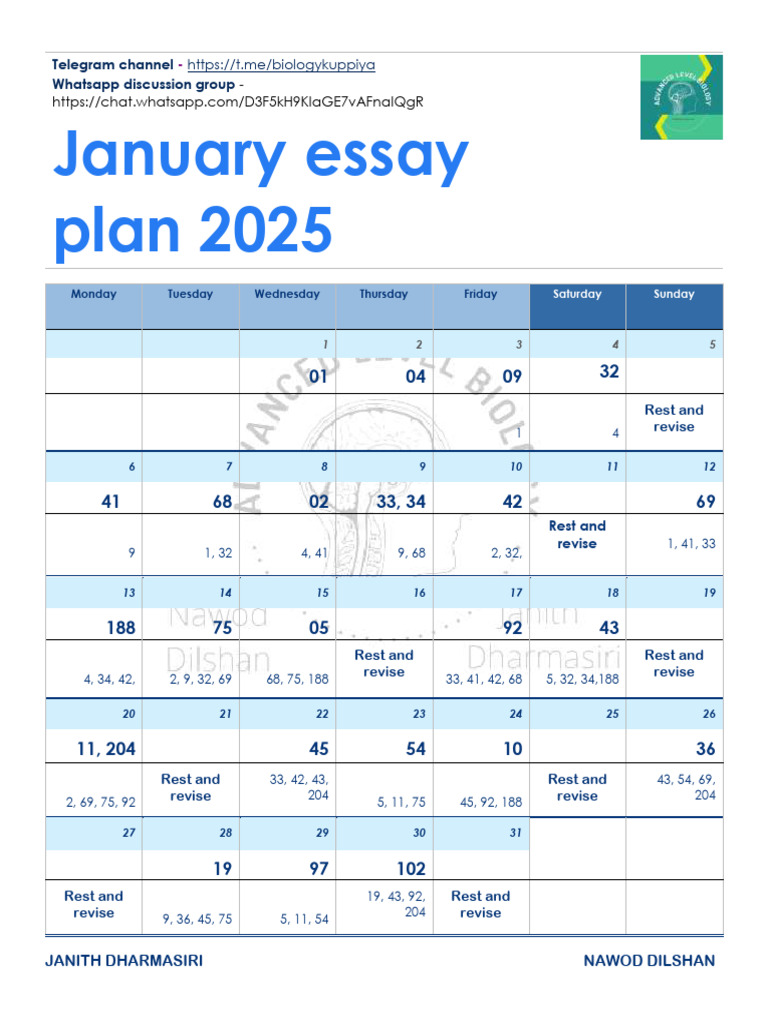 Jan Essay Plan 2025 | PDF