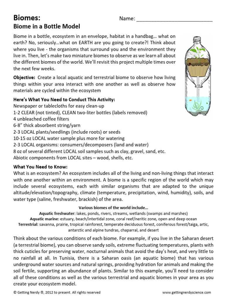 Biome in a Bottle Project Guide | PDF | Ecosystem | Soil