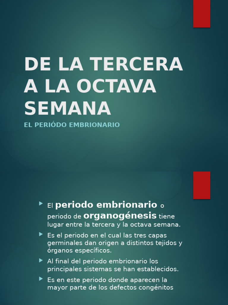 Tema 5 de La Tercera A La Octava Semana-1 | PDF | Sistema nervioso ...