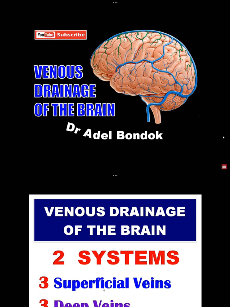 30- venius drainage of the brain | PDF
