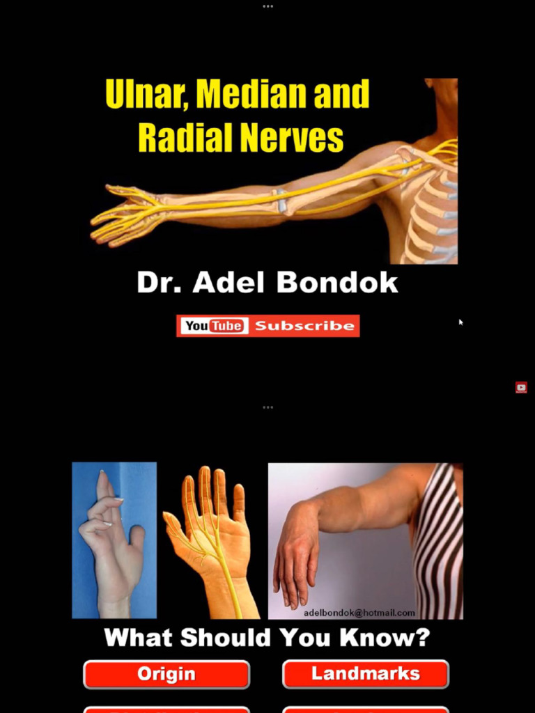 22 - Ulner Medial and Radial | PDF