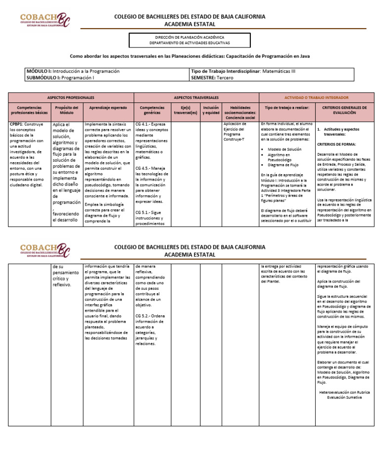 Actividad Integradora JAVA | PDF | Algoritmos | Programación de computadoras