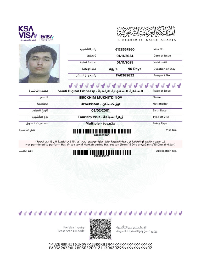 Visa Platform Saudiya 2024 Nayabr | PDF