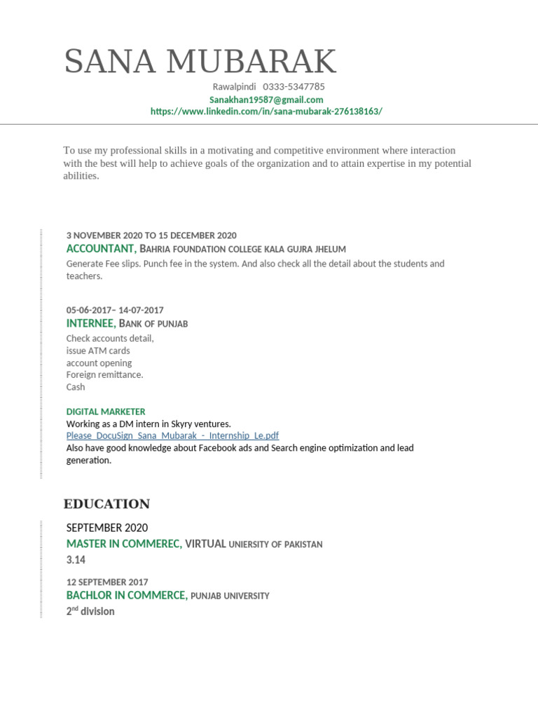 Sana Mubarak - Accountant & Digital Marketer | PDF