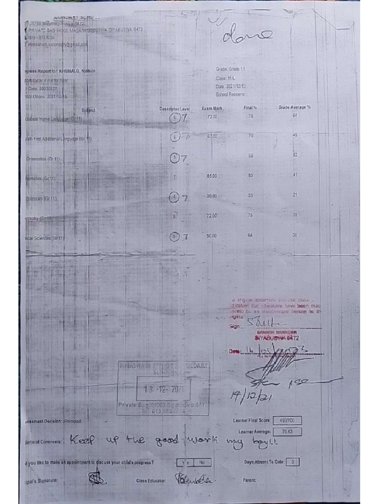 Grade 11 Final Report | PDF
