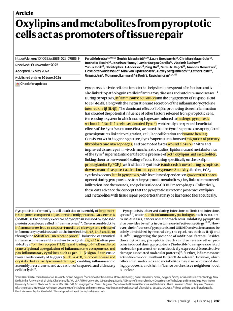 Nature PGE2 Pyroptosis Tissue Repair | PDF | Macrophage | Cell Signaling