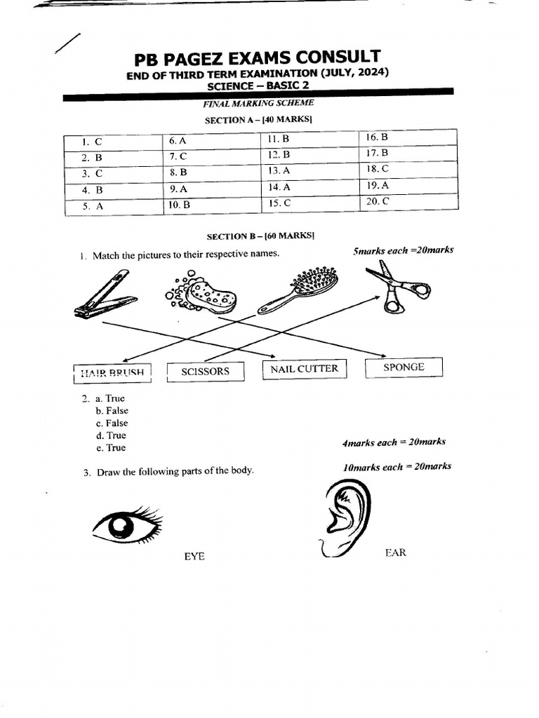 B2 Marking Scheme | PDF