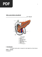 Duodénum | PDF | Pancréas | Anatomie