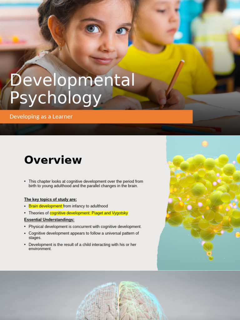 Developmental Psychology IB 2024 | PDF | Neuron | Brain