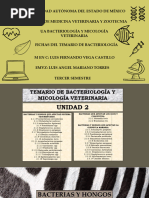 Características del exudado purulento | PDF | Infección | Medicina CLINICA