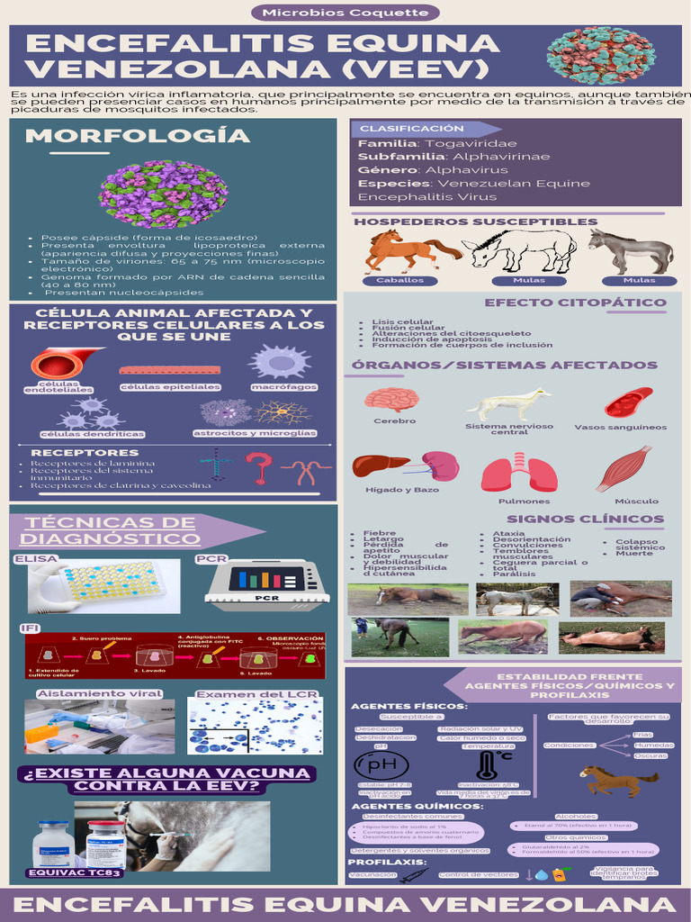 Encefalitis Equina PDF | PDF | Virus | Virología