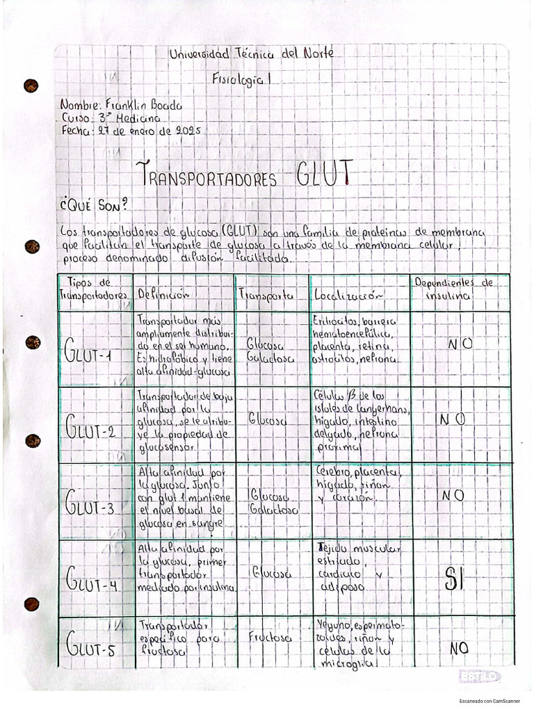 Transportadores GLUT_Boada Franklin | PDF