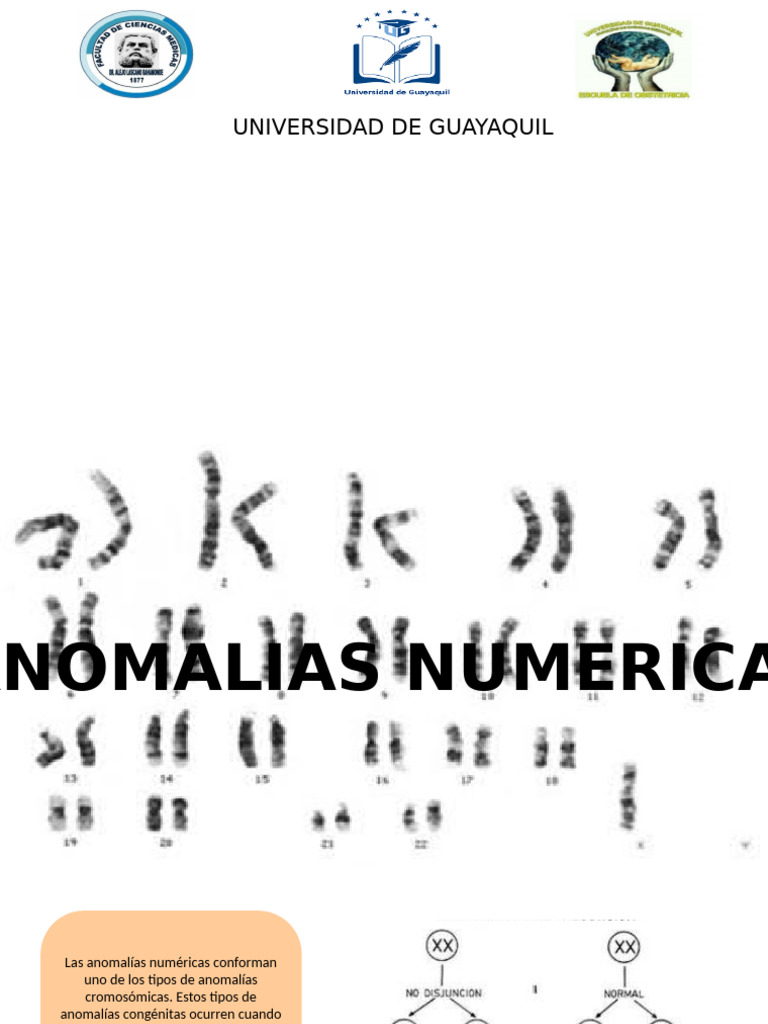 ANOMALÍAS NUMÉRICAS grupo 1 | PDF | Mitosis | Cromosoma