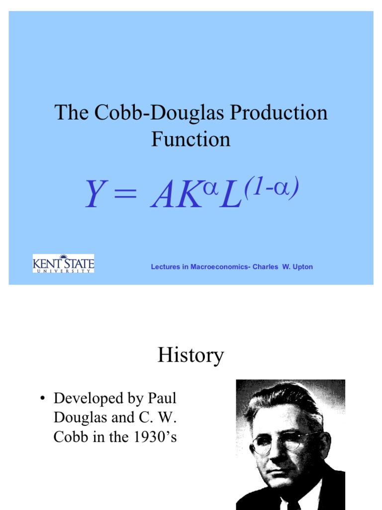 The Cobb-Douglas Production Function | PDF | Production Function ...