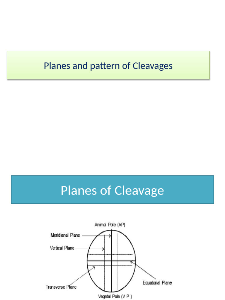 Types of Planes and Pattern of Cleavage | PDF