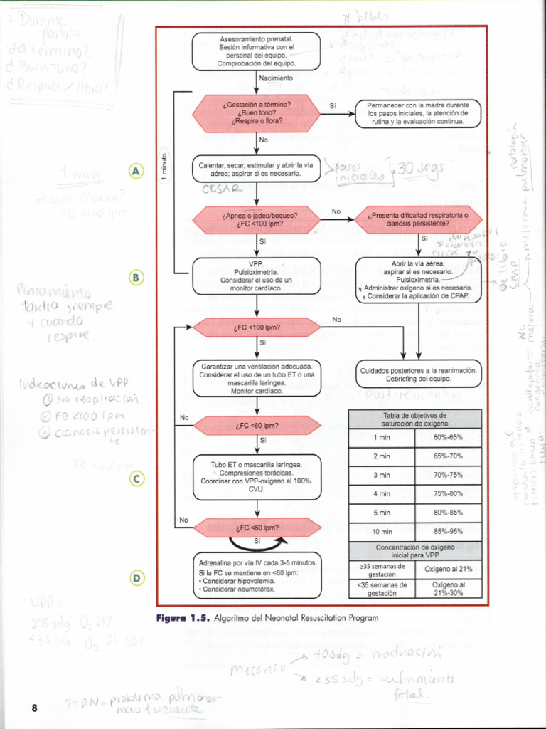 RENEO | PDF