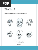 Unlabeled Axial Skeleton Overview | PDF | Skull | Skeletal System