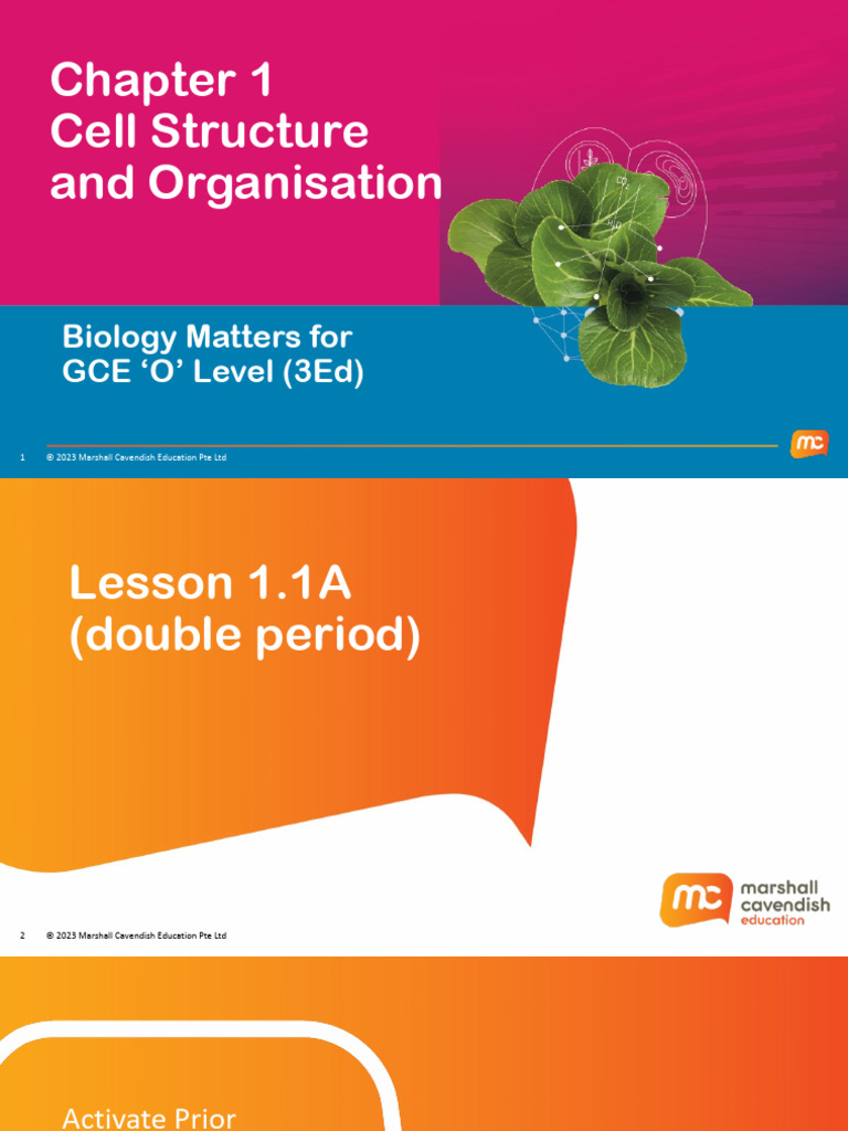 Cell Structure and Organisation (BM) | PDF | Endoplasmic Reticulum ...