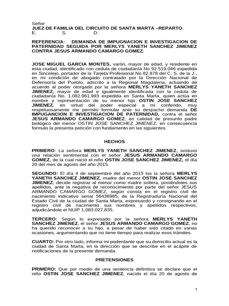 DEMANDA DE IMPUGNACION E INVESTIGACION DE PATERNIDAD MERLIS SANCHEZ | PDF